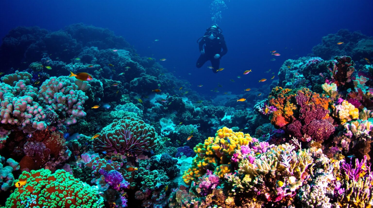 Unraveling the Mysteries of the Deep Sea's Technicolor Coral Reefs